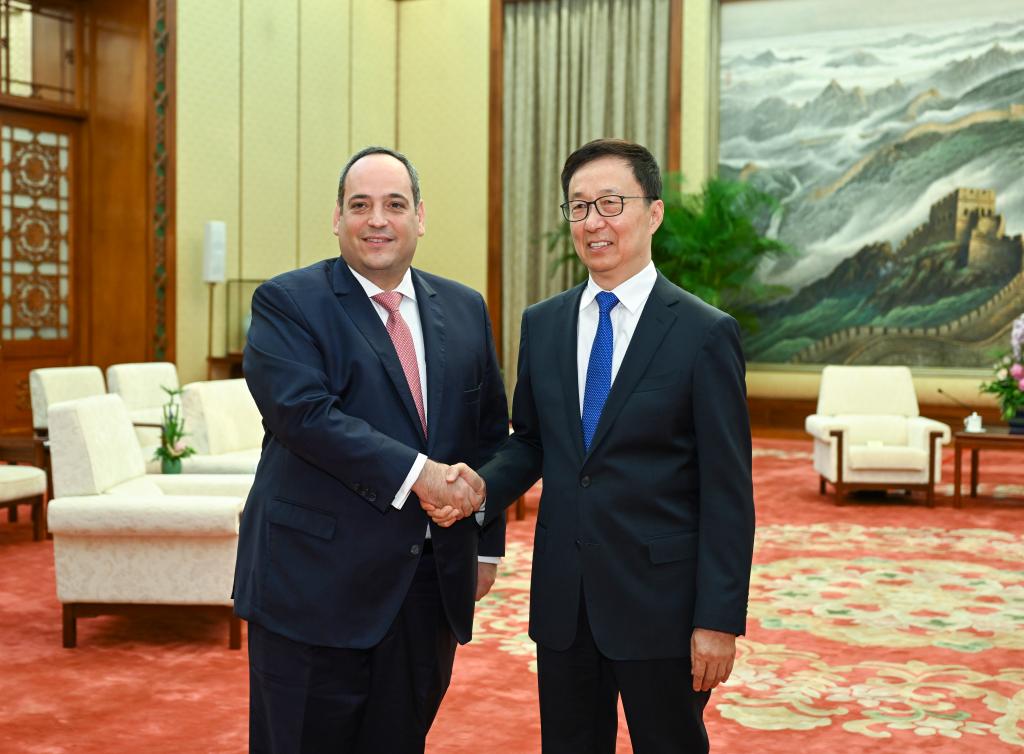 Vice-presidente chinês reúne-se com secretário-geral do BIE-Xinhua