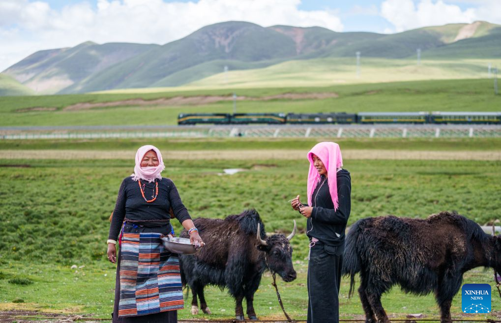 Ferrovia Qinghai-Xizang: 20 anos de transformações no planalto nevado ...